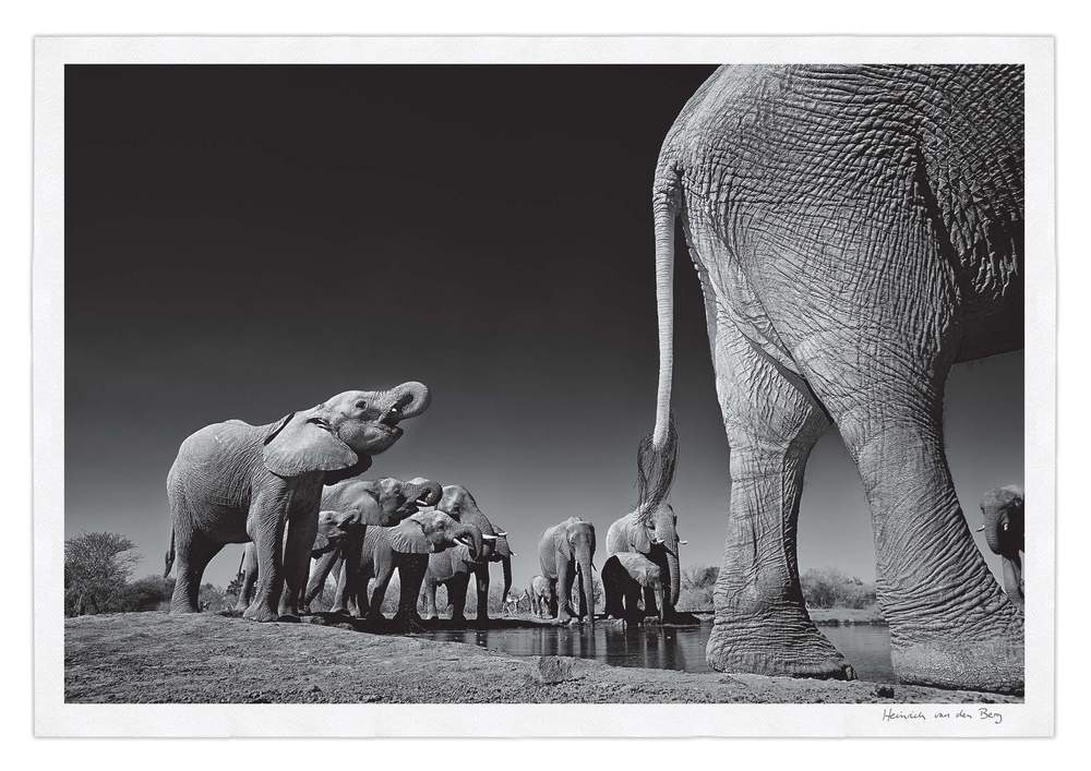 Heinrich van den Berg Fine Art Prints – HPH Publishing