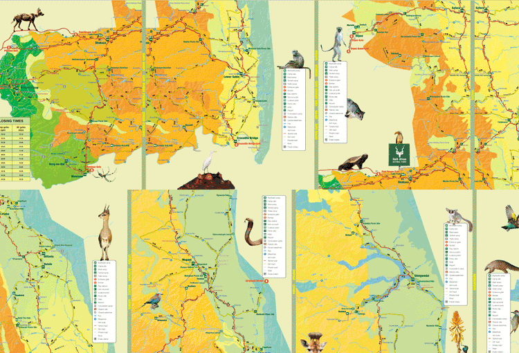 Kruger Self-Drive Fold-Out Map – HPH Publishing