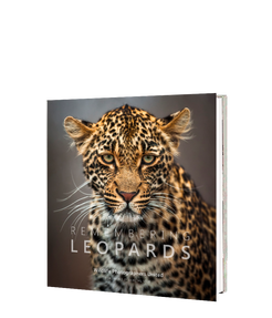 Remembering Leopards – HPH Publishing
