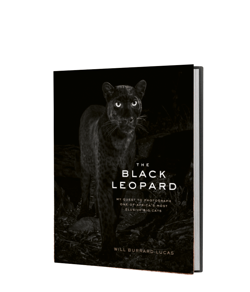 Books – Page 2 – HPH Publishing