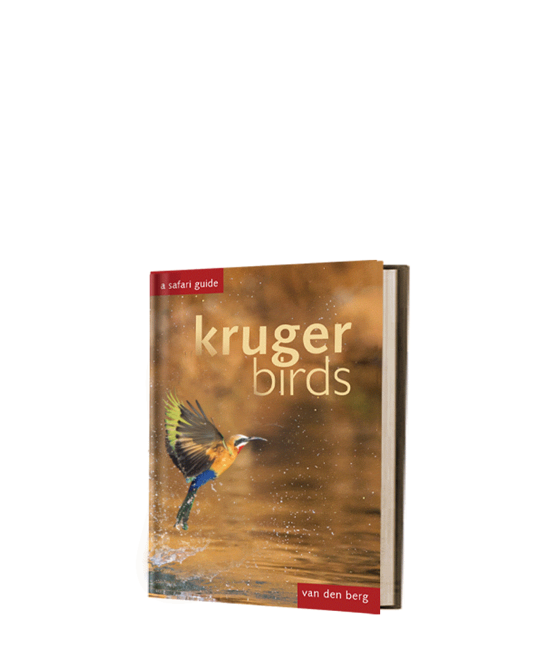 Kruger Birds - First Edition – HPH Publishing