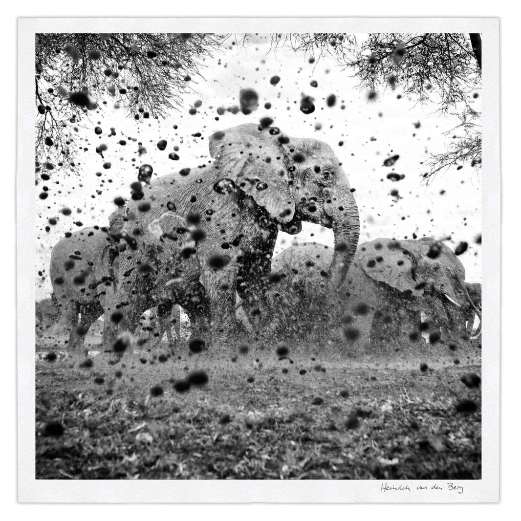 Heinrich van den Berg Fine Art Prints – HPH Publishing