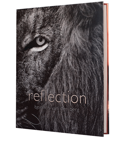Reflection – HPH Publishing