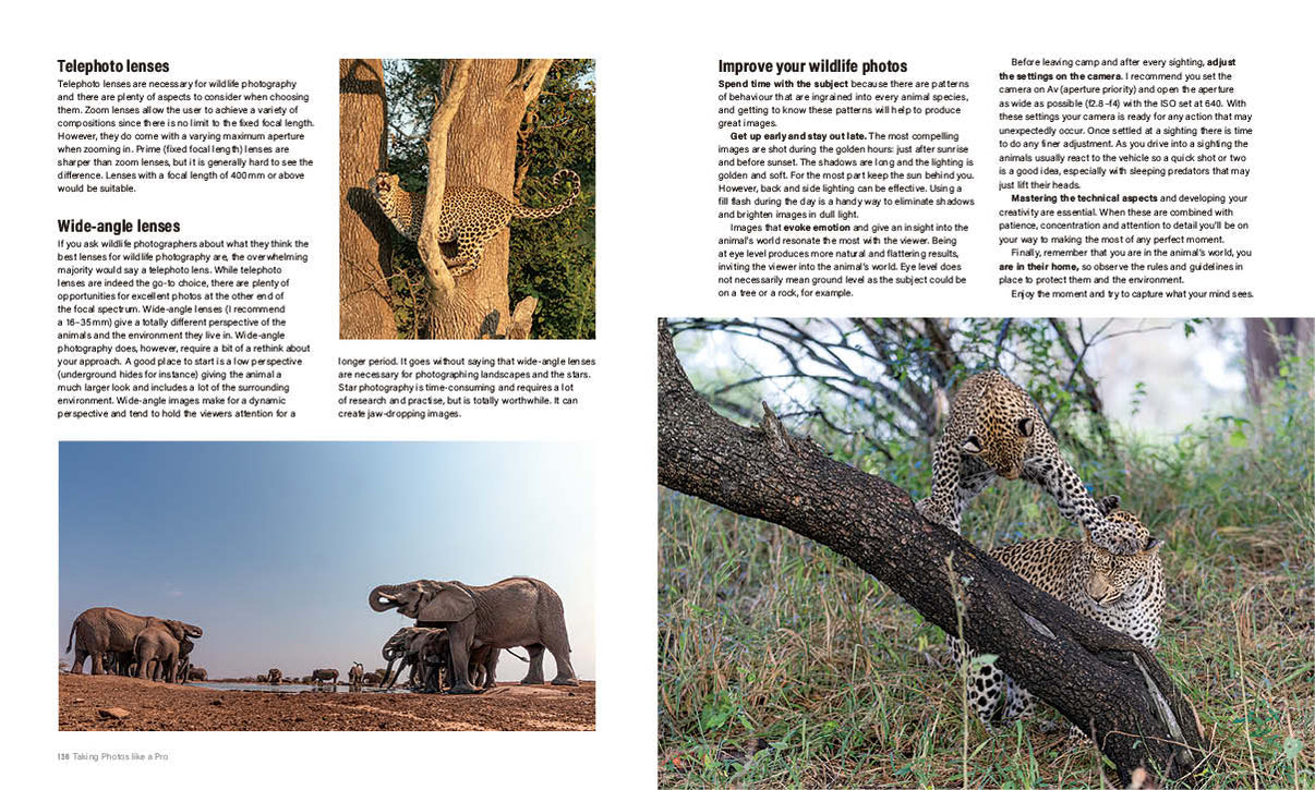 Safari Secrets – The Big Five – HPH Publishing