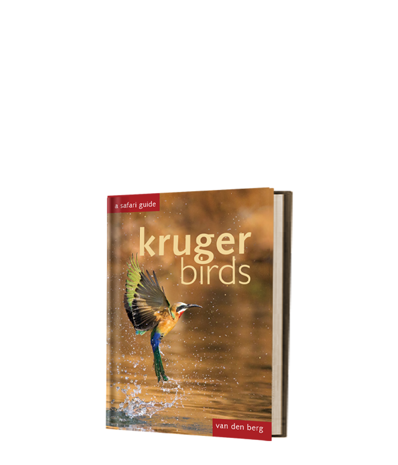 Kruger Birds - First Edition – HPH Publishing
