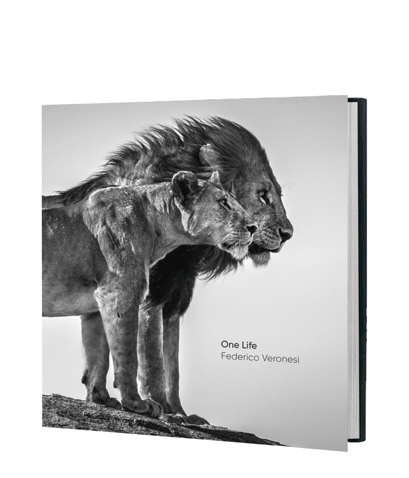 One Life – HPH Publishing